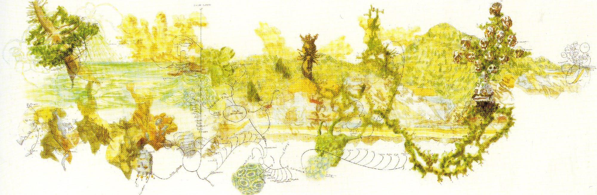 Matthew Ritchie | MoMA