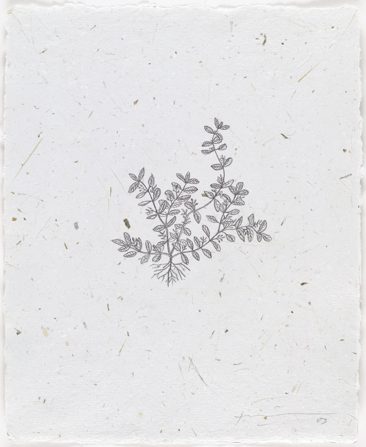 José Toirac. Sugar Free. 2003 | MoMA