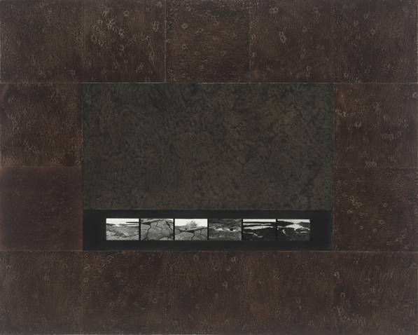 Michelle Stuart | MoMA