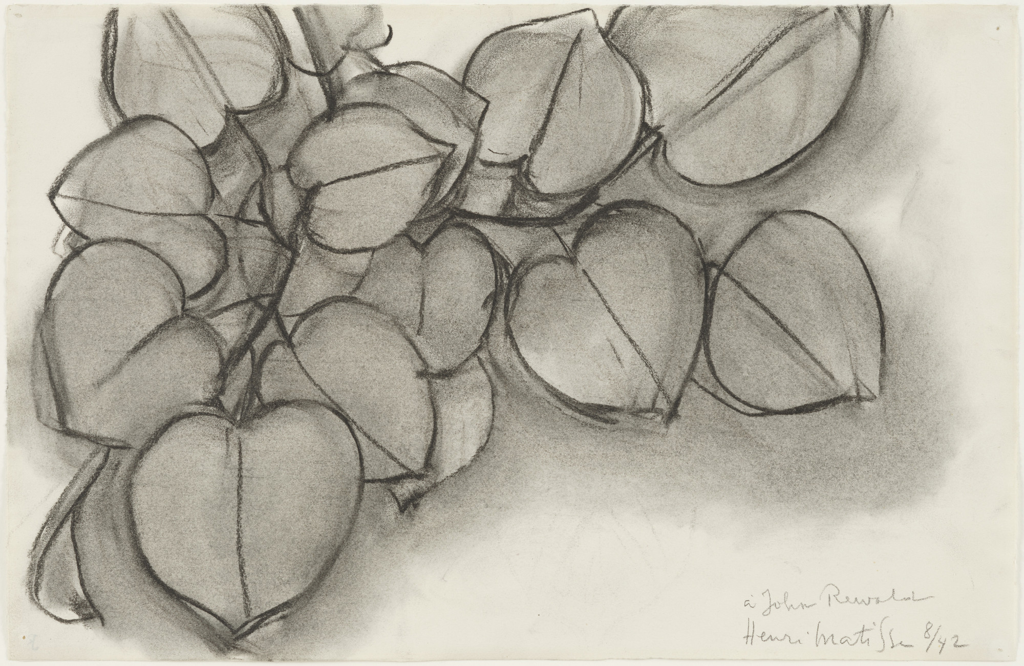 Henri Matisse. Branch of a Judas Tree. 1942 | MoMA