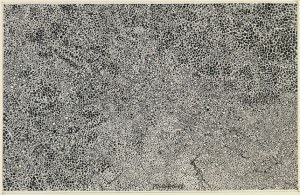 MoMA | Jean Dubuffet: Textures, Patterns, and Beards