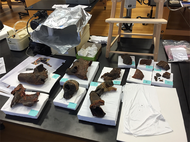 MoMA | Resurrection: The Conservation Treatment of Bruce Conner’s CHILD